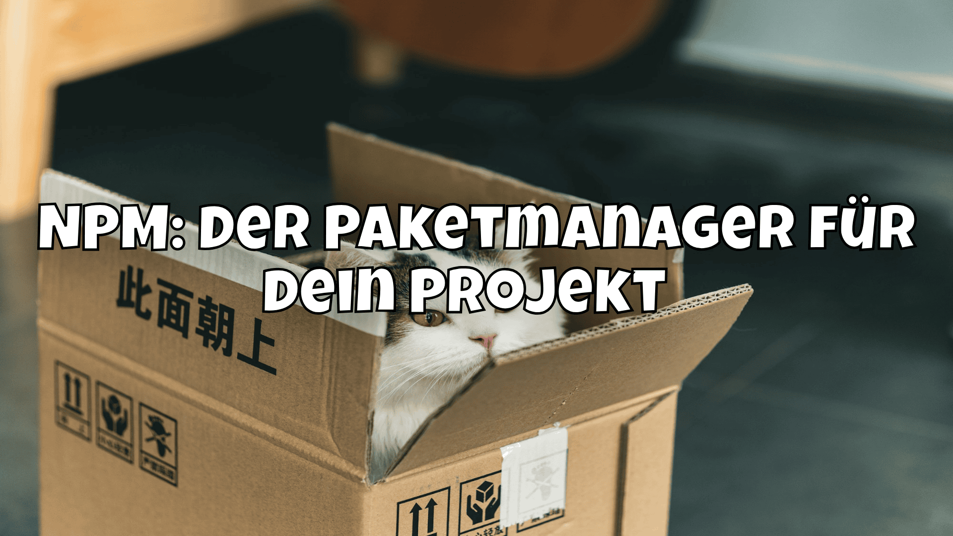 NPM: Der Paketmanager für dein Projekt 🪄