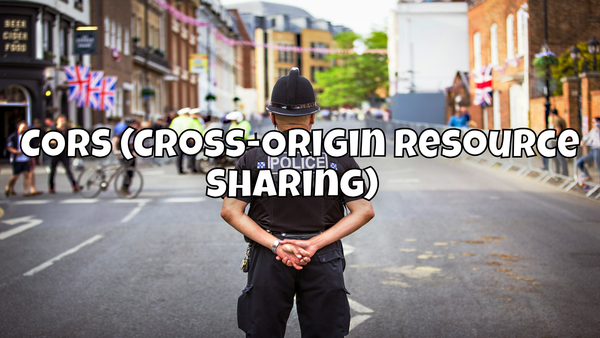Cors Cross Origin Resource Sharing 🌐
